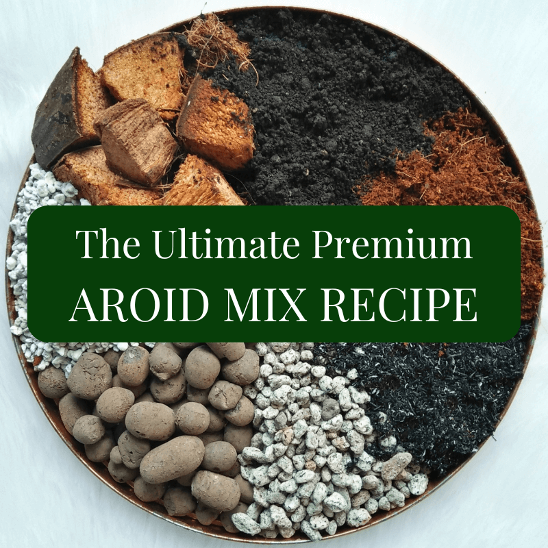 Ultimate Premium Aroid Mix Recipe