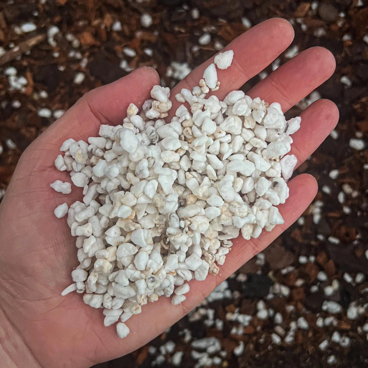 Premium Coarse Perlite - Enhance Soil Health