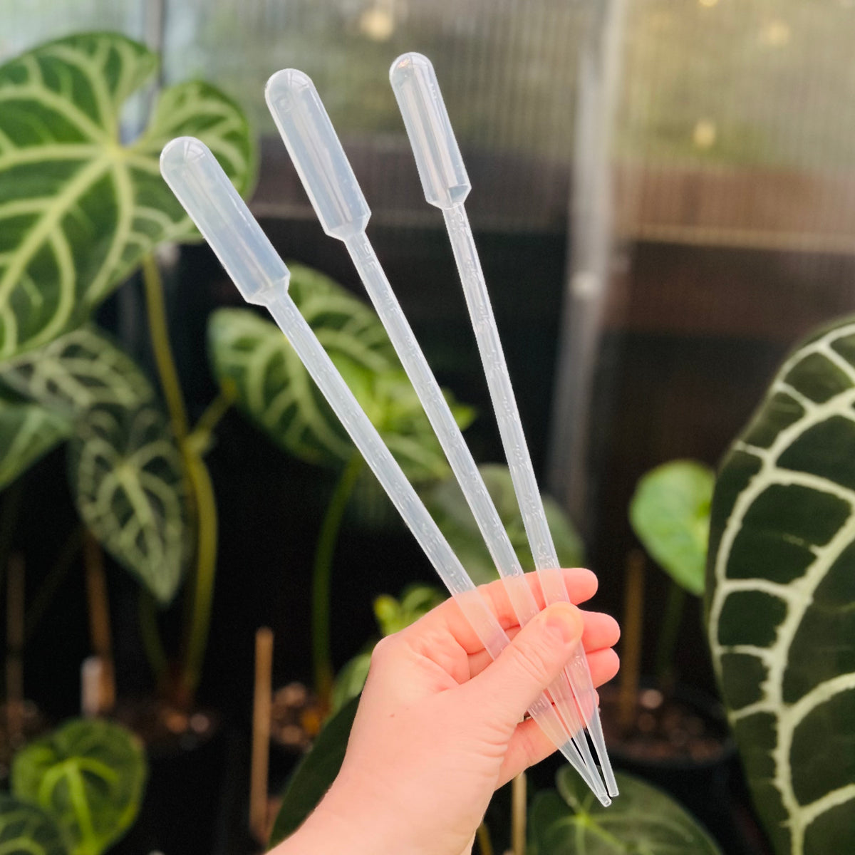 10ml Fertiliser Droppers - Precise Plant Care